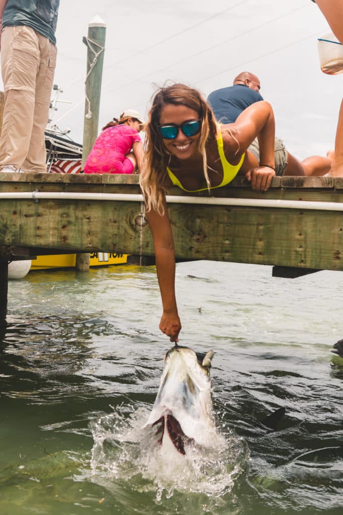Feeding Tarpon at Robbie's - Robbie's of Islamorada
