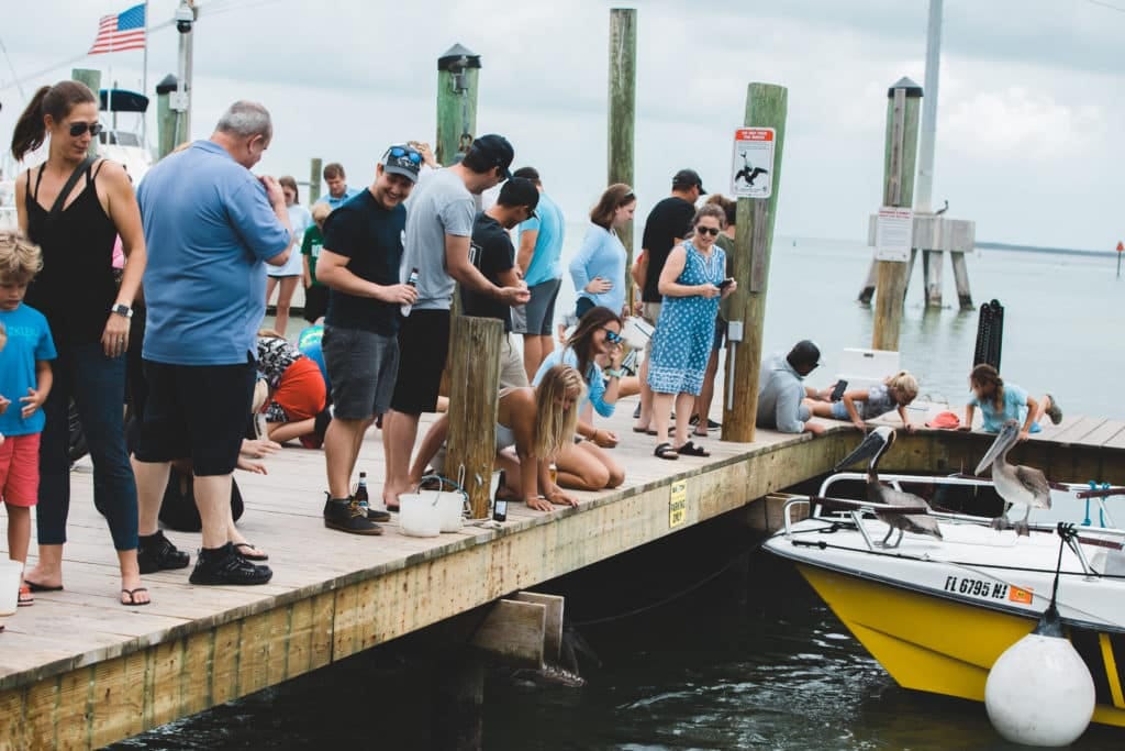 Feeding Tarpon at Robbie's - Robbie's of Islamorada