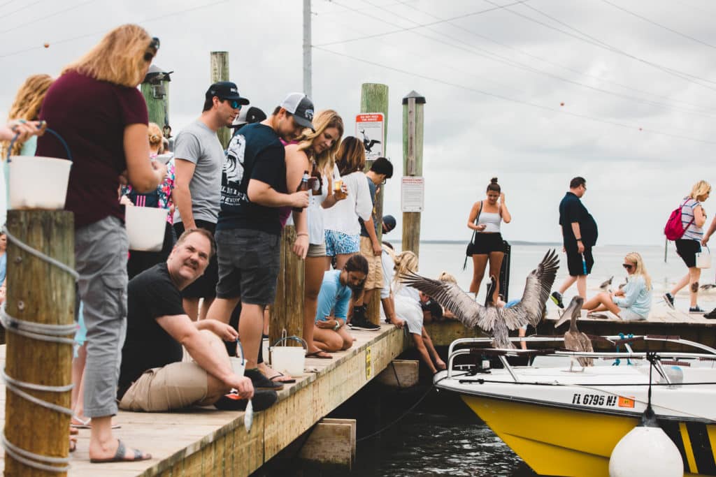 Feeding Tarpon at Robbie's - Robbie's of Islamorada