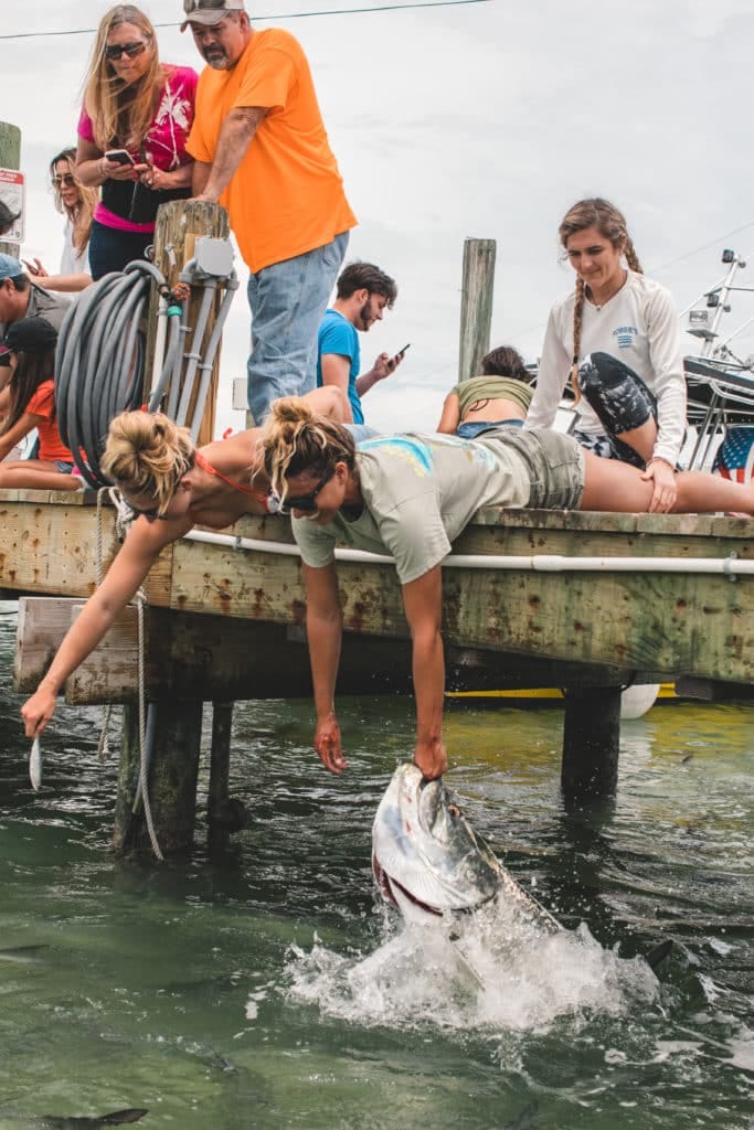 Feeding Tarpon at Robbie's - Robbie's of Islamorada