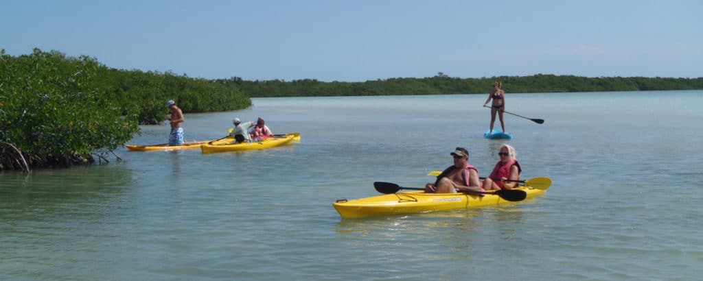 Best Kayak and Paddleboard Rentals - Robbie's of Islamorada