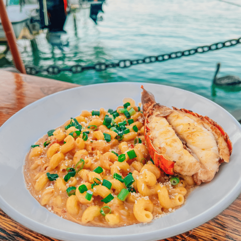 Feeding Tarpon at Robbie’s - Robbie's of Islamorada