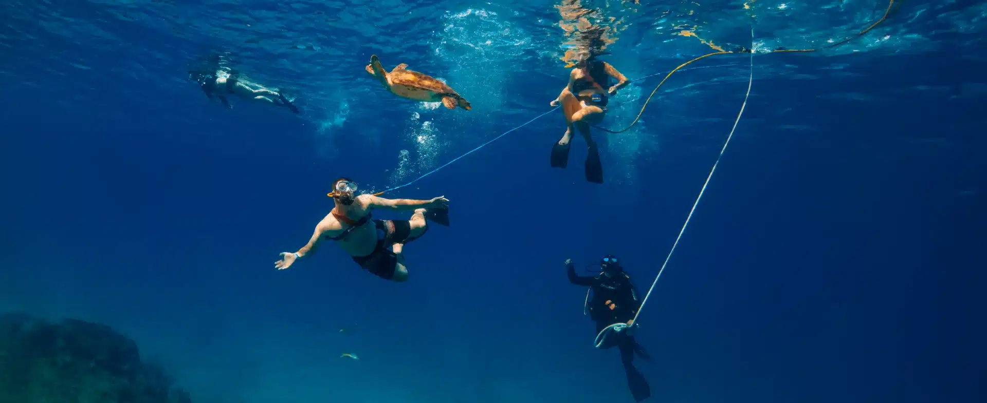 Snuba-Diving-in-Islamorada.webp