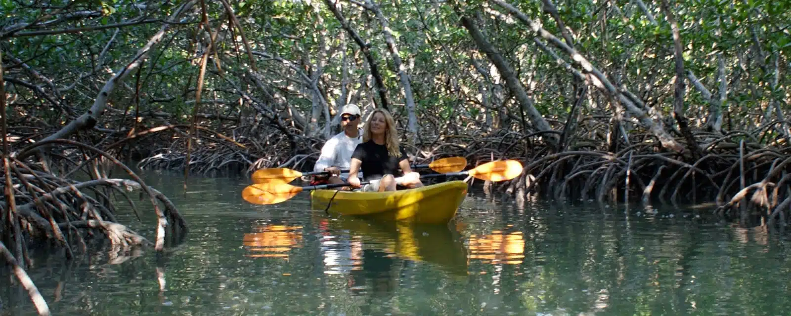 Best Kayak and Paddleboard Rentals - Robbie's of Islamorada